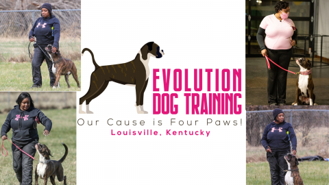 Evolution Dog Training | IFundWomen